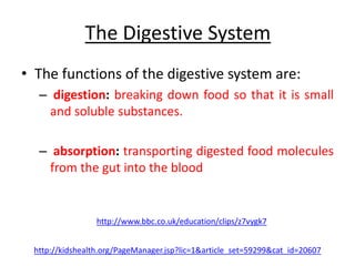 Digestion easy notes for grade stage 4 igcse | PPT
