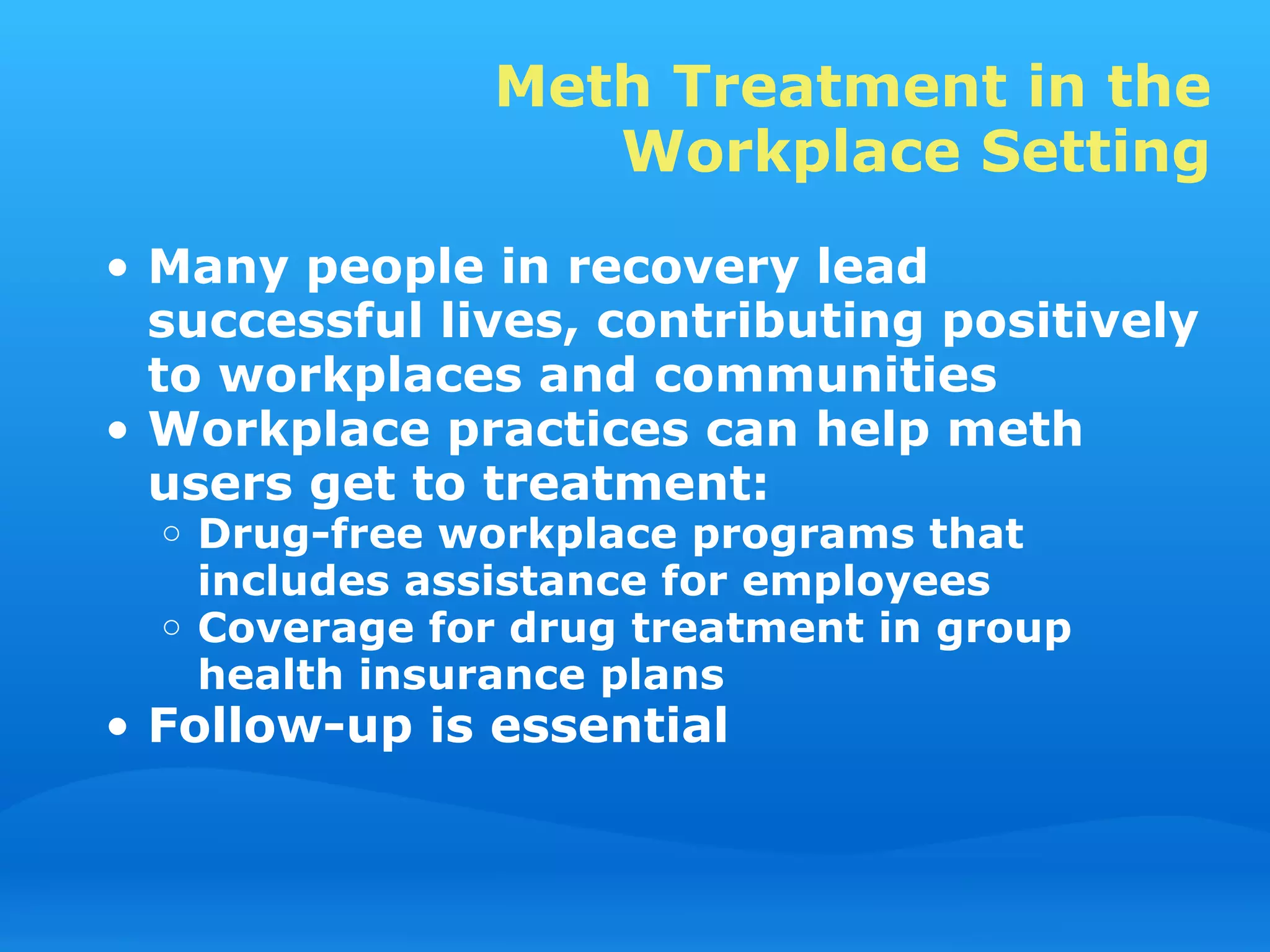 meth_Workplace_Presentation_11-28-06 | PPT | Illegal Drugs, Tobacco ...