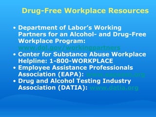 meth_Workplace_Presentation_11-28-06 | PPT | Illegal Drugs, Tobacco ...