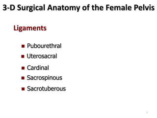 ALAPP 2017 3D Anatomy | PPT