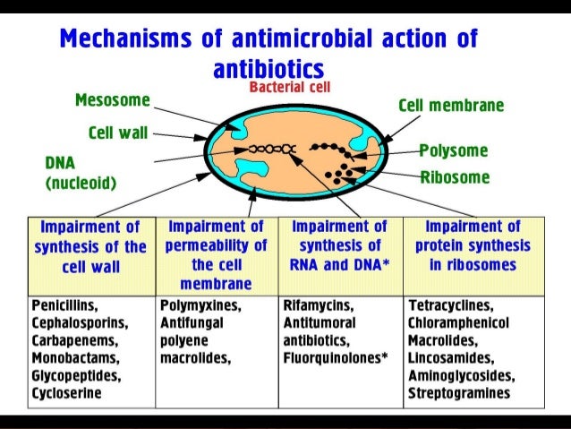 Pharmacology of Antibiotics