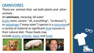 17 August 2022 - Herbivore, Karnivor and Obnivore.pptx