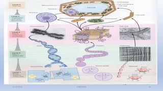 chemistry of cell | PPTX