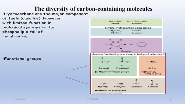 chemistry of cell | PPTX | Chemistry | Science