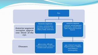 Nanotechnology in ocular drug delivery system | PPT