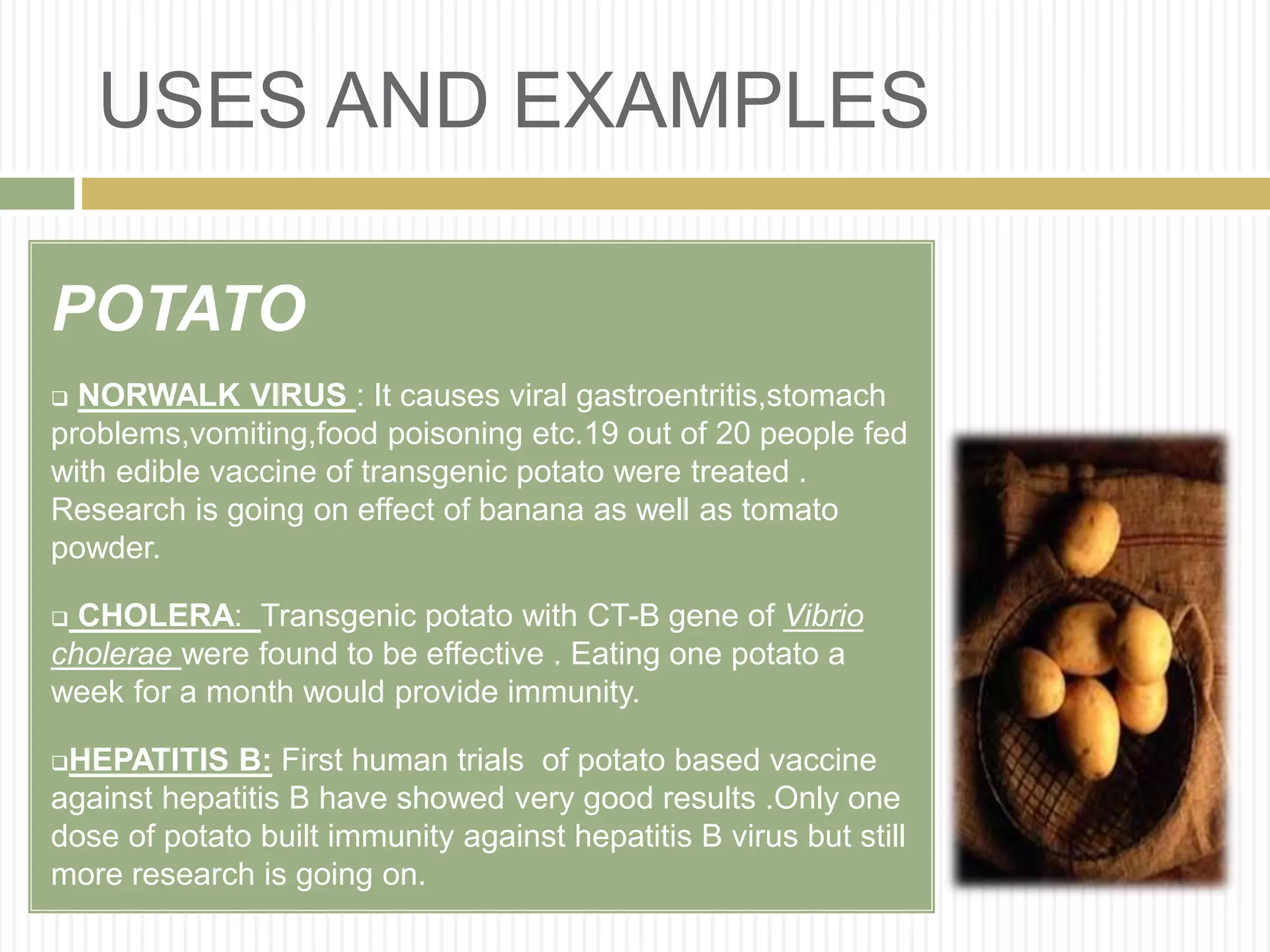 Edible Vaccines | PPTX | Vaccines | Medical Health