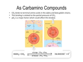 Transport of Gases | PPTX
