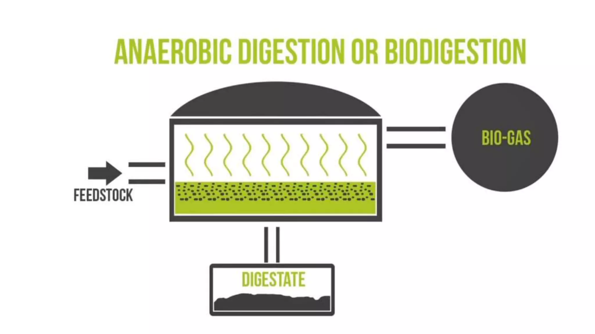 Biomass energy and conversion processes | PPTX