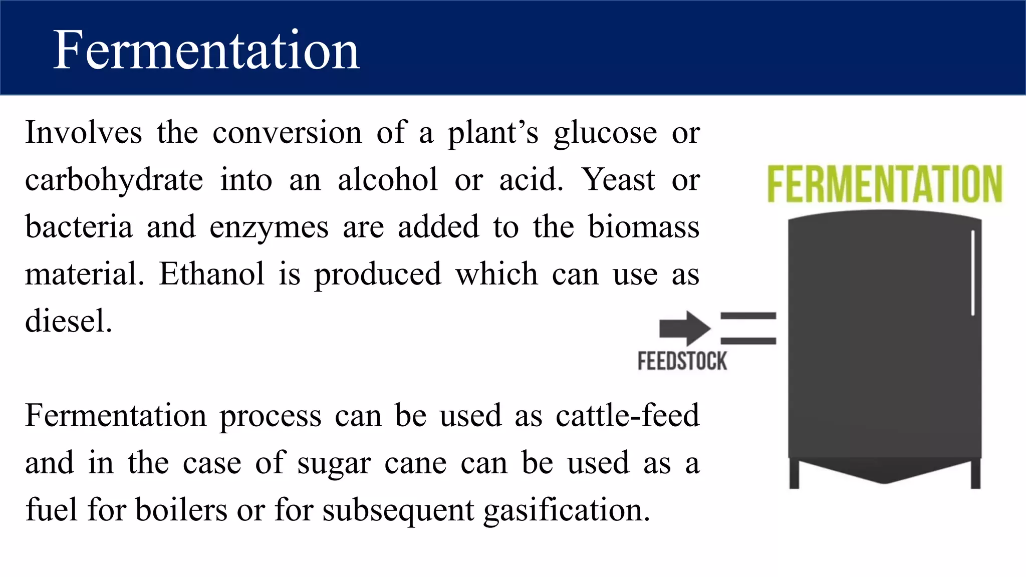 Biomass energy and conversion processes | PPTX