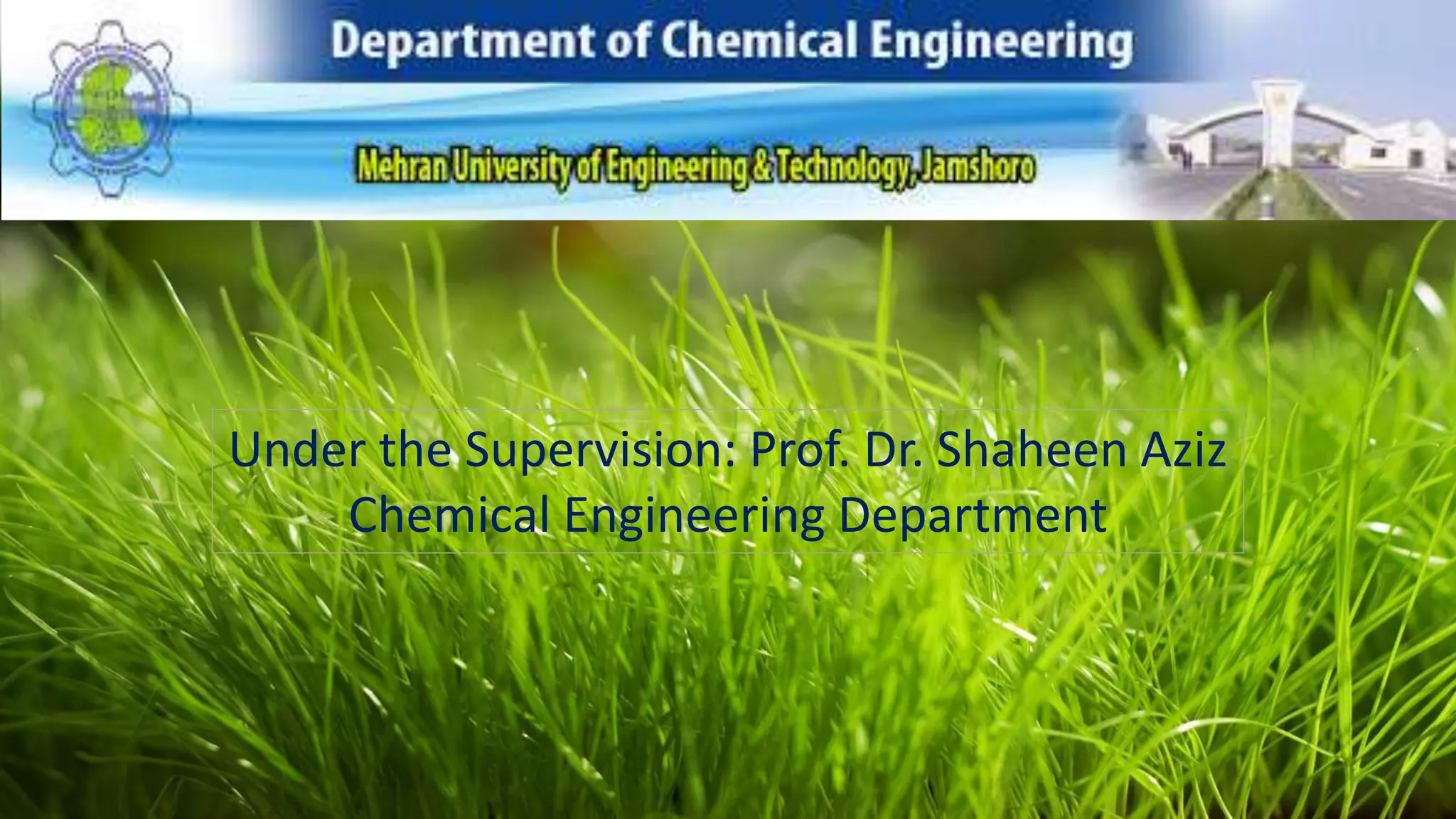 Biomass energy and conversion processes | PPTX