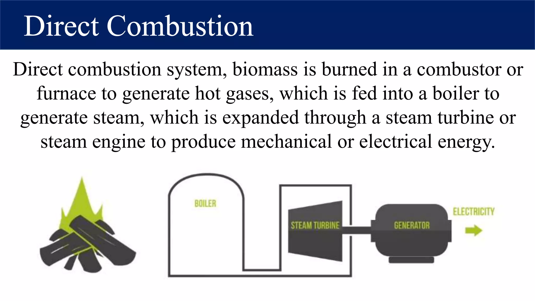Biomass energy and conversion processes | PPTX