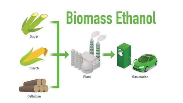 Biomass energy and conversion processes | PPTX | Science