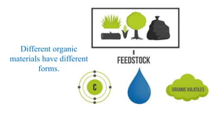Biomass energy and conversion processes | PPTX