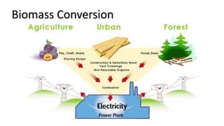 Biomass energy and conversion processes | PPTX