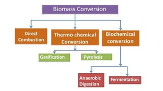 Biomass energy and conversion processes | PPTX