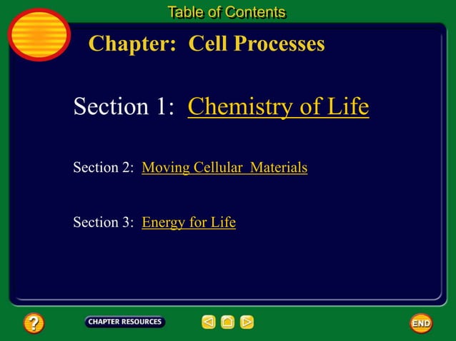 Cell Processes | PPT