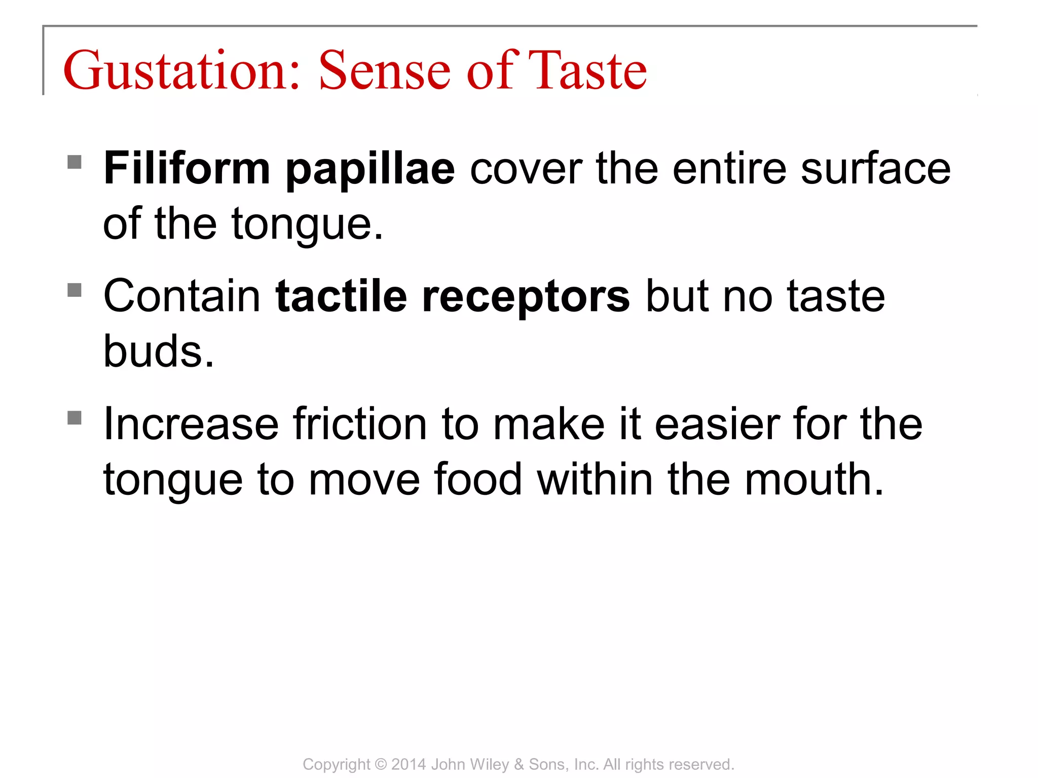 17 [chapter 17 the special senses] | PPT