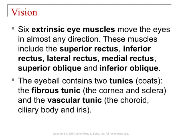 17 [chapter 17 the special senses] | PPT | Ear, Nose and Throat ...