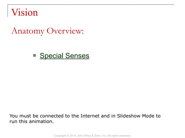 17 [chapter 17 the special senses] | PPT | Ear, Nose and Throat ...