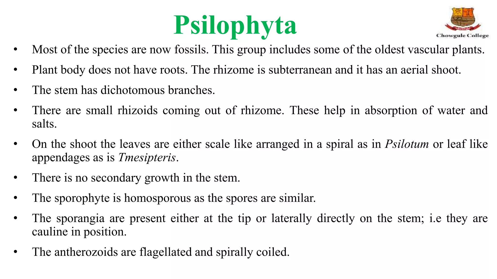 Classification of pteridophytes | PPTX