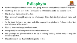 Classification of pteridophytes | PPTX