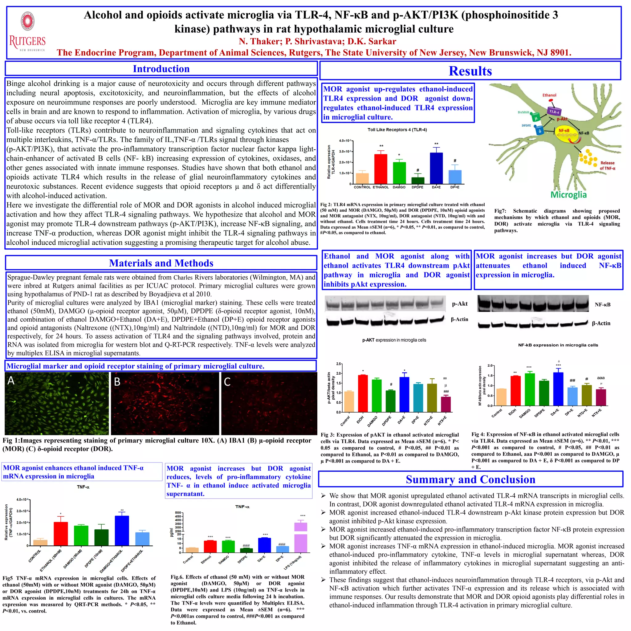 RSA Poster - NIdhi Thaker | PPTX