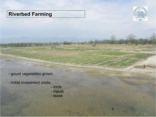 K. Schiller riverbed farming | PPT