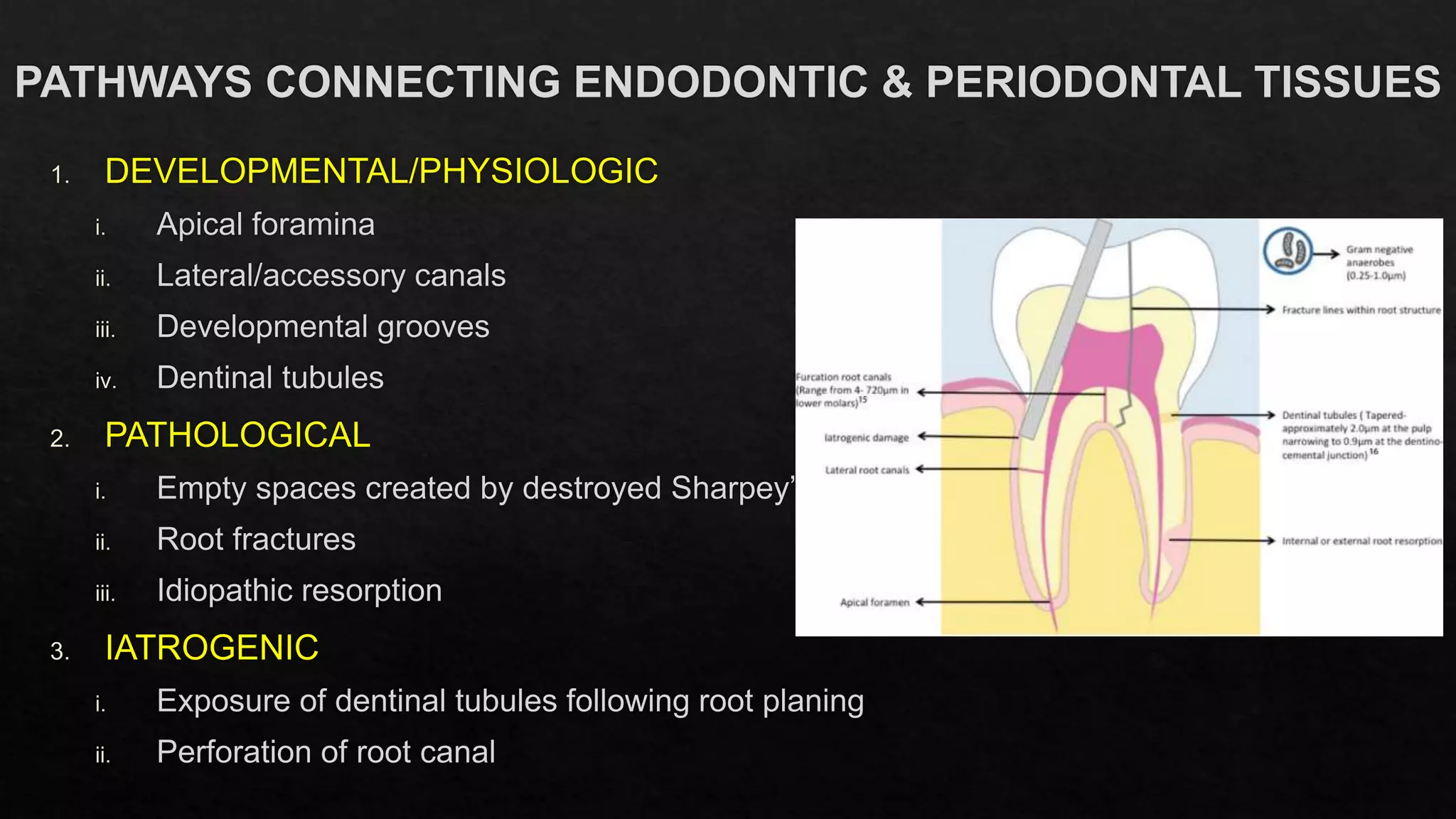 ENDO-PERIO LESIONS | PPTX