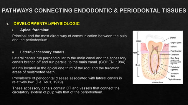 ENDO-PERIO LESIONS | PPTX | Dental Health | Diseases and Conditions