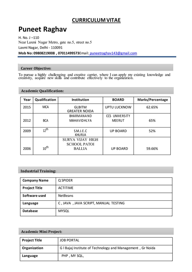puneet Kumar Resume | PDF