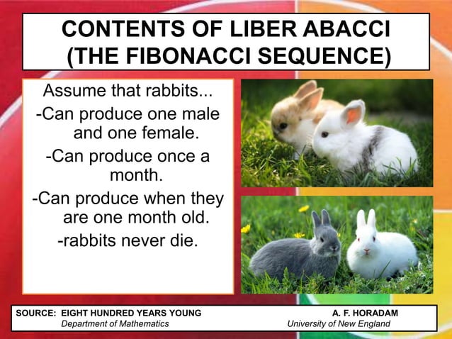 Fibonacci The Man of Numbers | PPTX