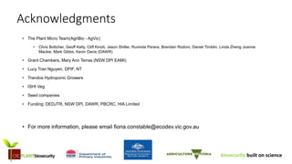 Virus and viroid testing of solanaceous and cucurbit seed shipments to ...