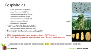 Virus and viroid testing of solanaceous and cucurbit seed shipments to ...