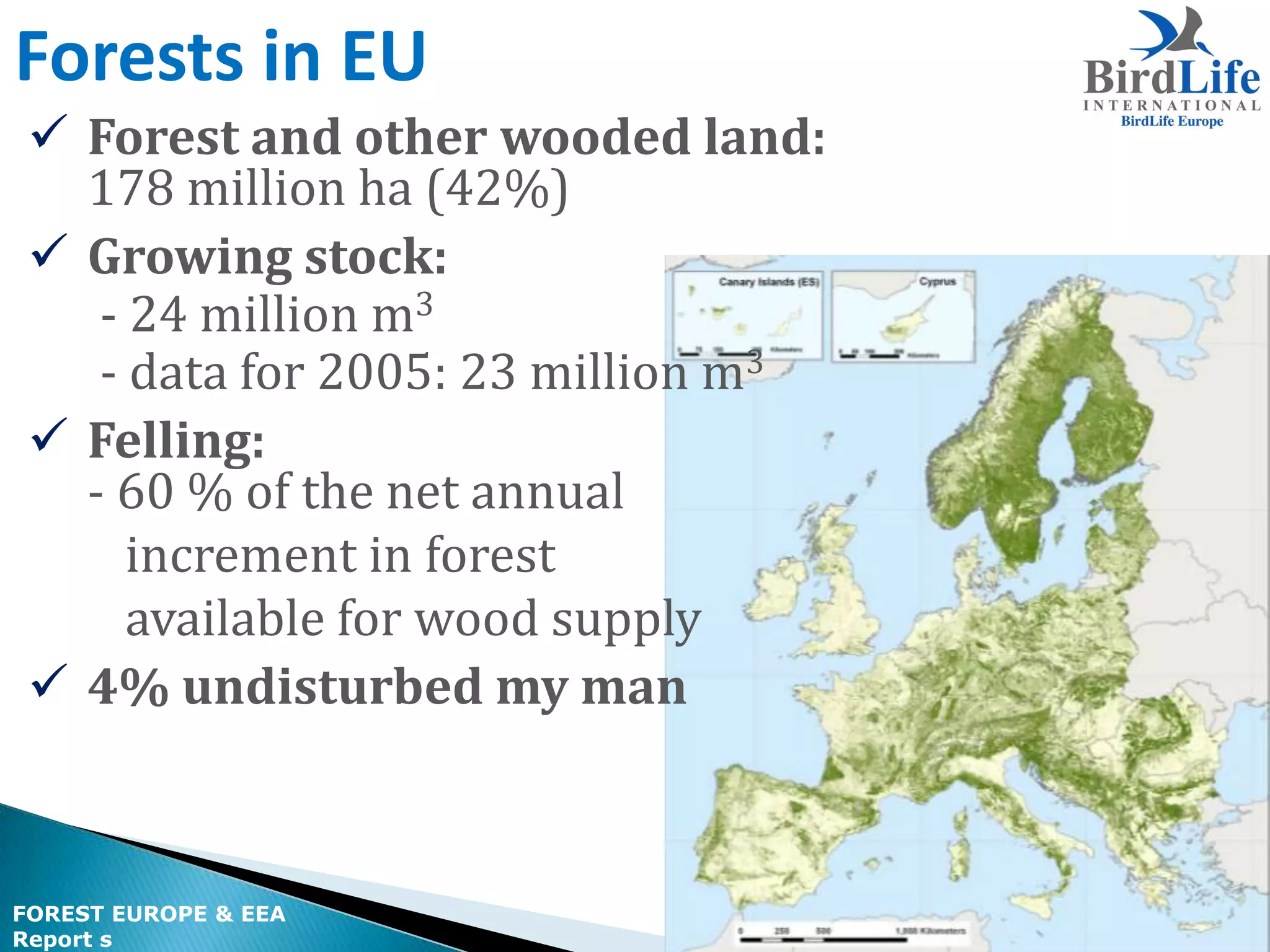 17 forestry policy framework | PPT