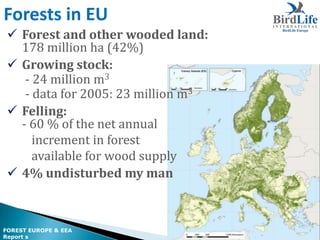 17 forestry policy framework | PPTX