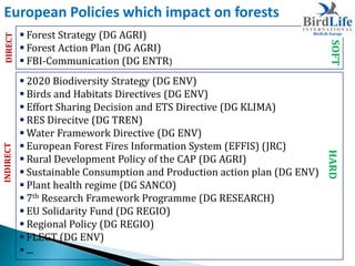 17 forestry policy framework | PPT