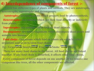 17forestsourlifeline | PPT