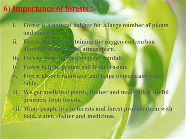 17forestsourlifeline | PPT | Biological Sciences | Science