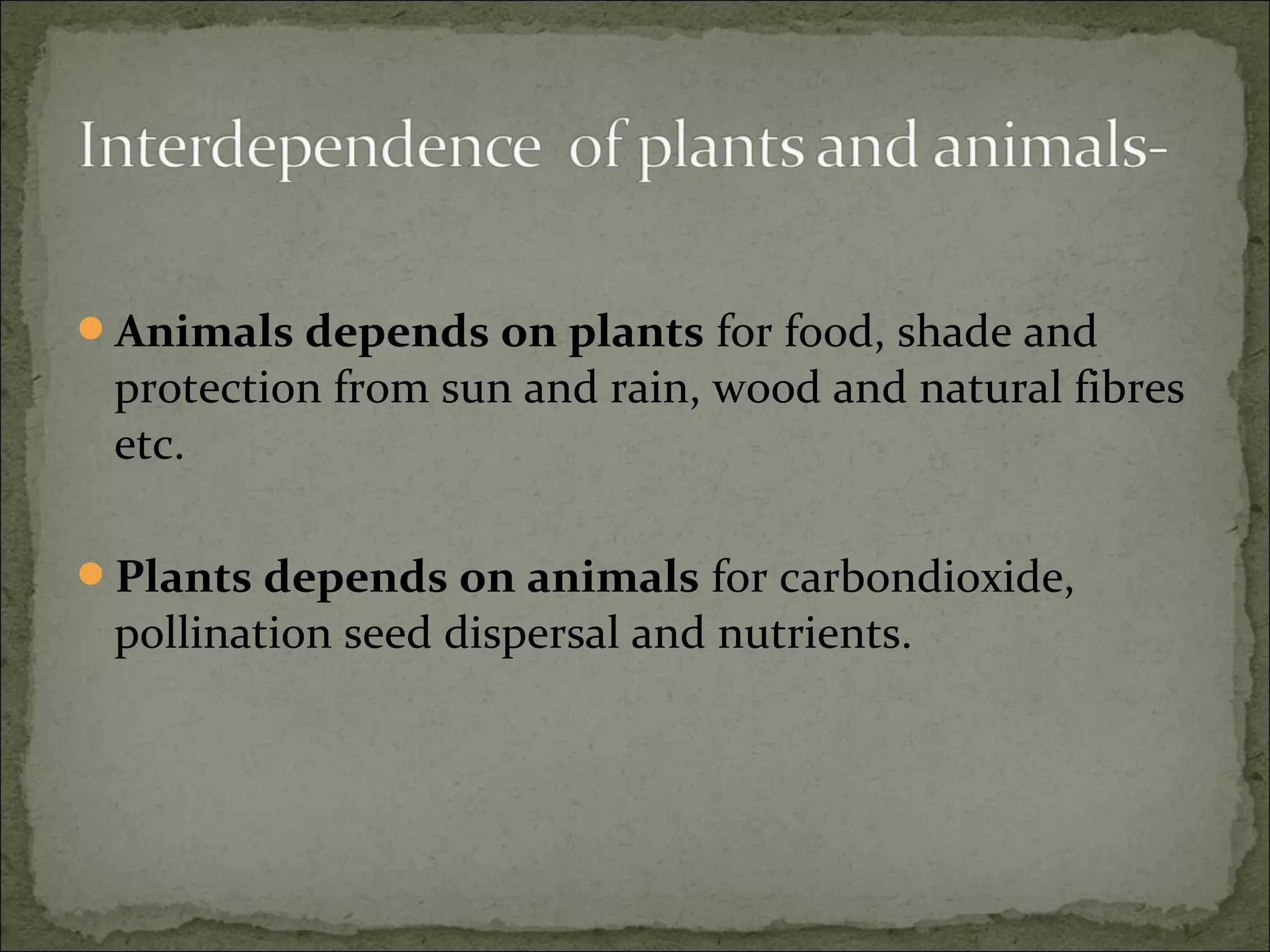 17forestsourlifeline (1) | PPT