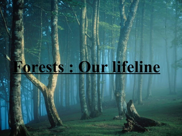 17forestsourlifeline (1) | PPT | Gardening | Home & Garden