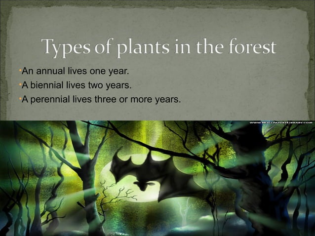17forestsourlifeline (1) | PPT | Gardening | Home & Garden