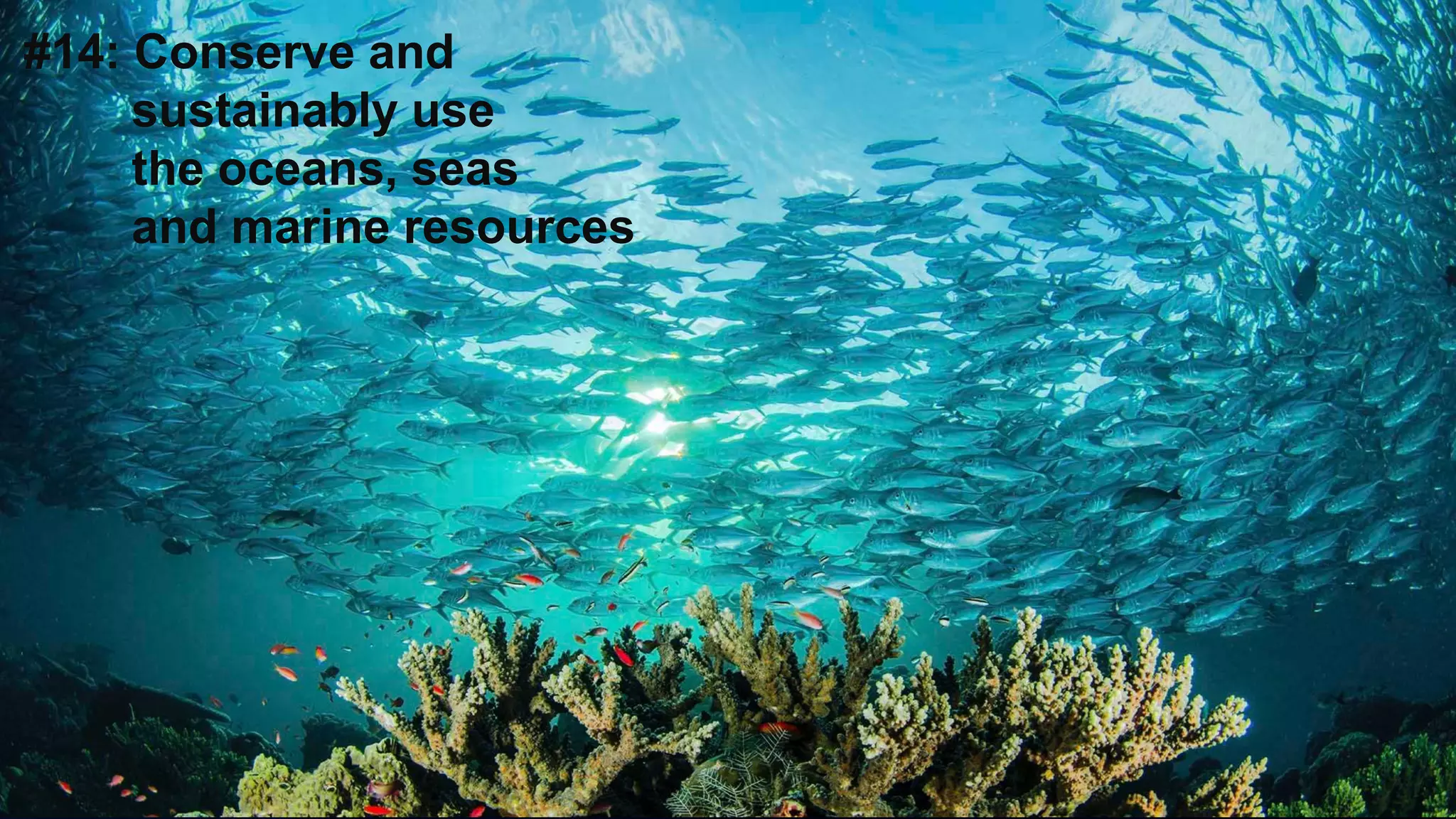 WHO 17 Sustainable development goals SDGs | PPTX