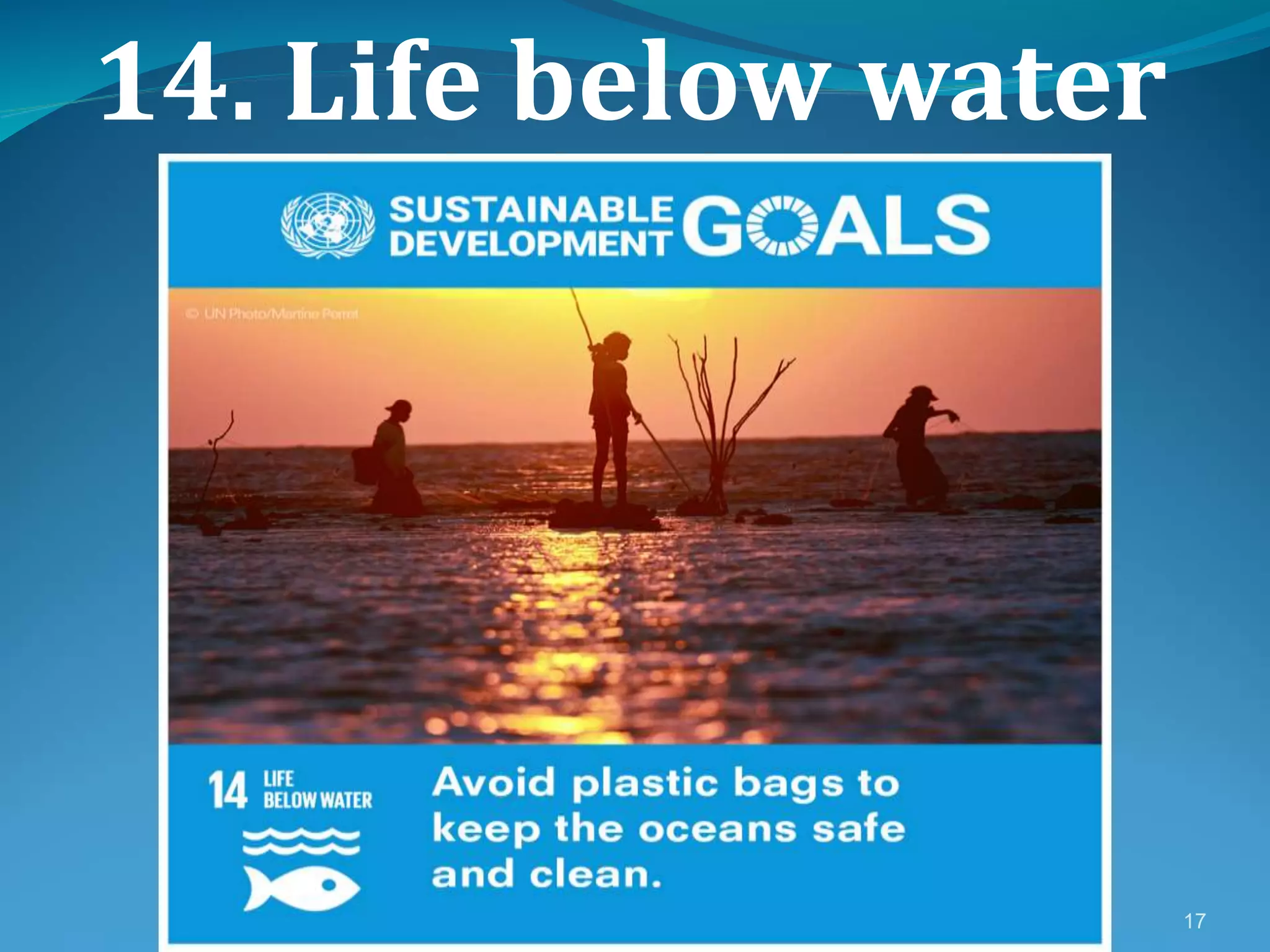 17 goals of SDG | PPT