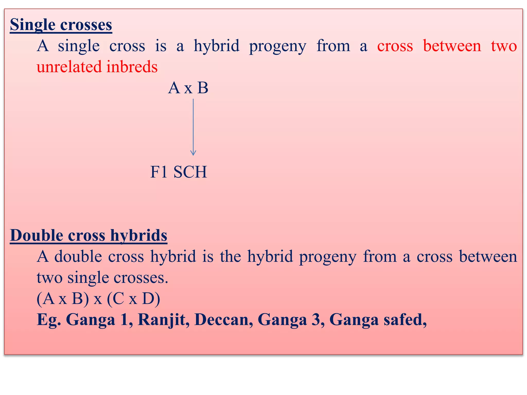 17. Heterosis breeding | PPTX
