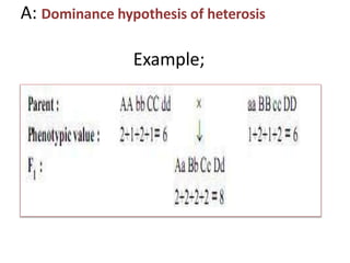 17. Heterosis breeding | PPTX