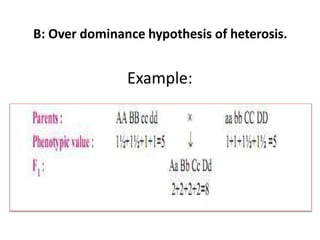 17. Heterosis breeding | PPTX