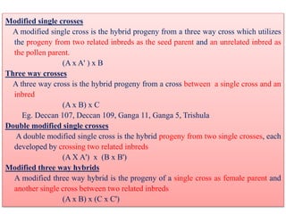 17. Heterosis breeding | PPTX