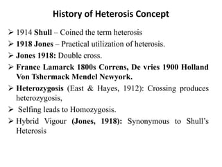 17. Heterosis breeding | PPTX