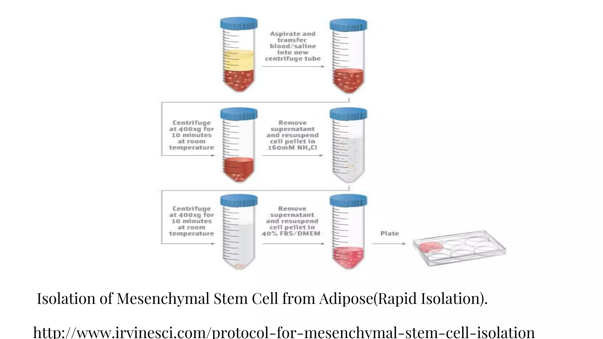 Stem Cell Harvesting and application | PPTX