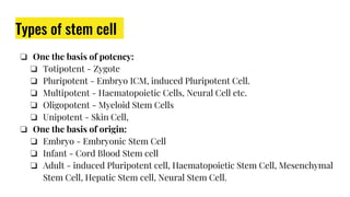 Stem Cell Harvesting and application | PPTX